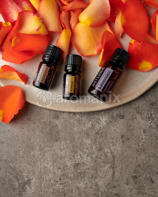 Doterra Seasonal Essentials Wellness Box Starter Pack Stock Photo ...