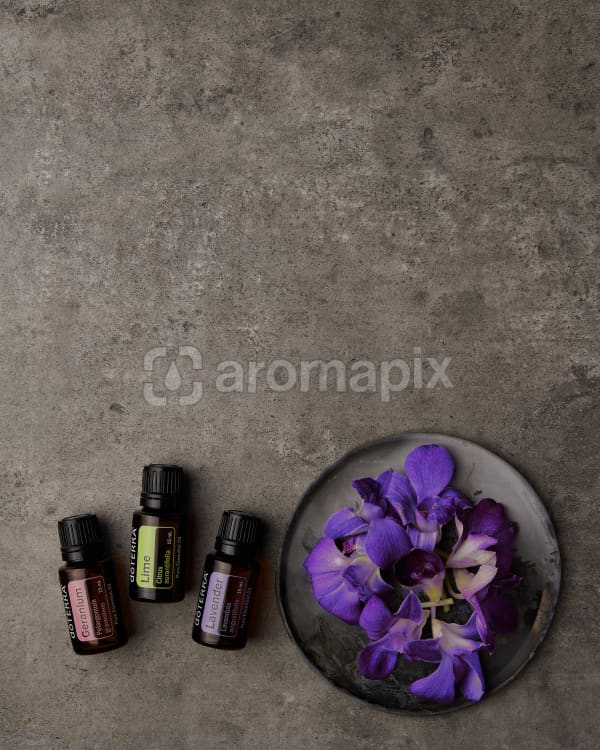 Stock photos of dōTERRA Geranium by Aromapix