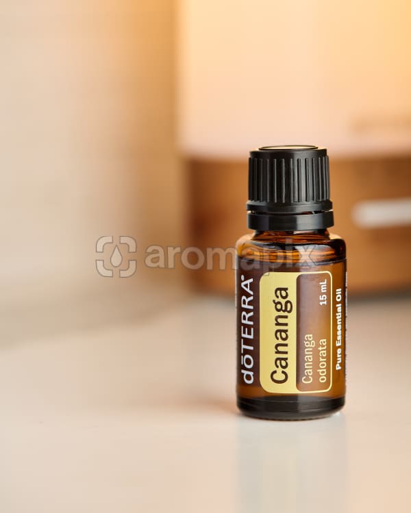 Doterra Cananga Essential Oil Photo Stock Photo o8o5a44x011h
