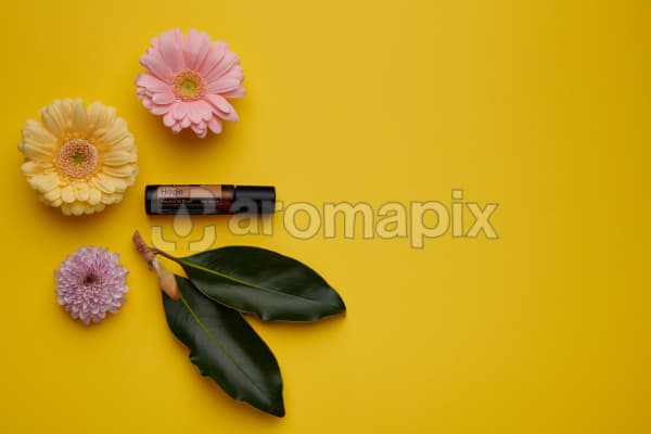 Doterra Hope Touch Flowers And Leaves Yellow Stock Photo vkib67x901bh