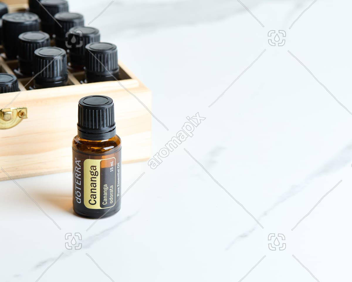 Doterra Cananga Photographed Marble Bench Stock Photo 182139adloc4