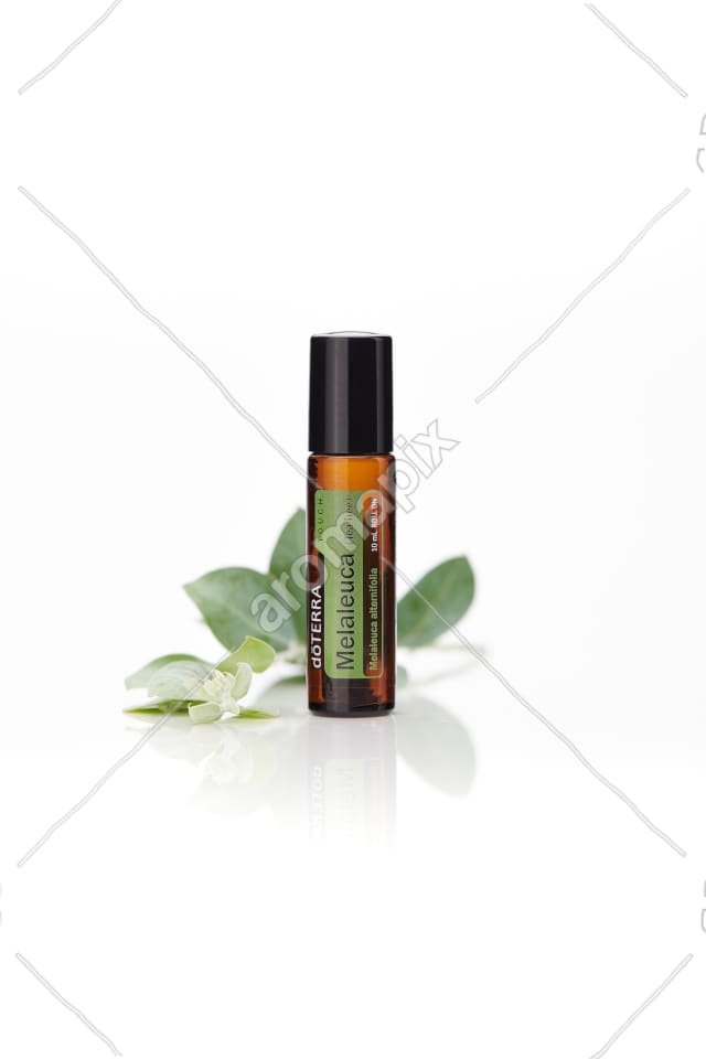 Doterra Melaleuca Touch White Stock Photo 3f1f6f5heev9