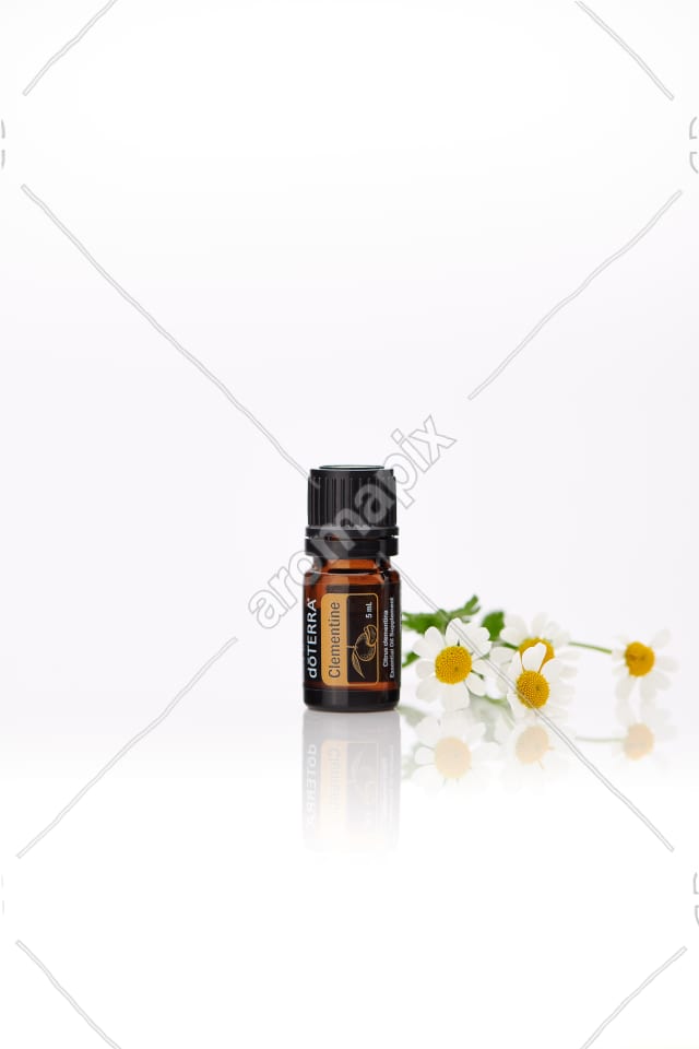Doterra Clementine Flowers White Stock Photo 467k27uh821k