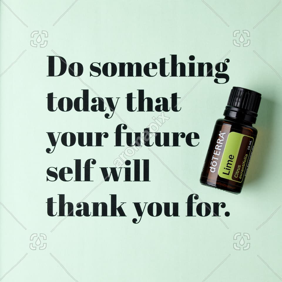 Lime Stock Quotes
