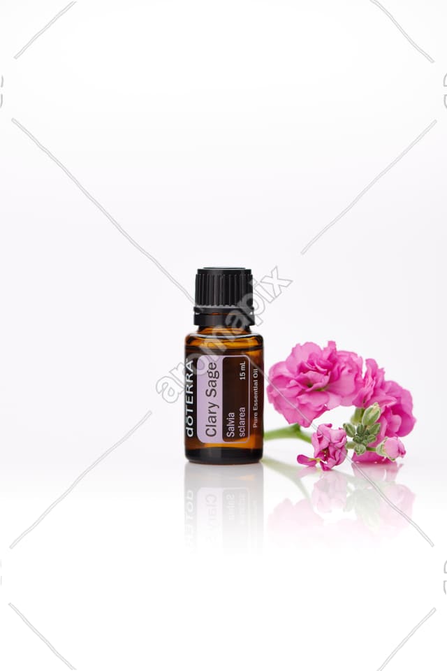 Doterra Clary Sage Flowers White Stock Photo qr56e5k5w56c
