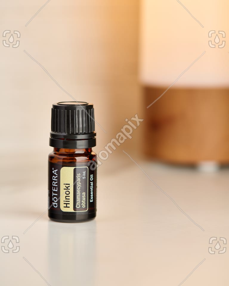 Image Doterra Hinoki Close Up Stock Photo whx8eman2b0d