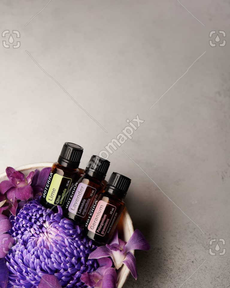 Doterra Lime Lavender And Geranium Purple Flowers Stock Photo zs88clp1wy1g